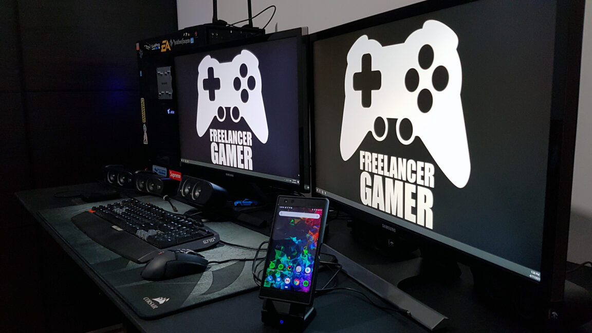 FreelancerGamer Gaming Setup | FreelancerGamer